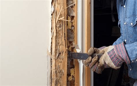 Termite Report Difference Between Section 1 And Section 2 Items