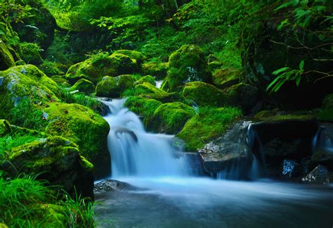 One Waterfall Chikara Amano Awrd