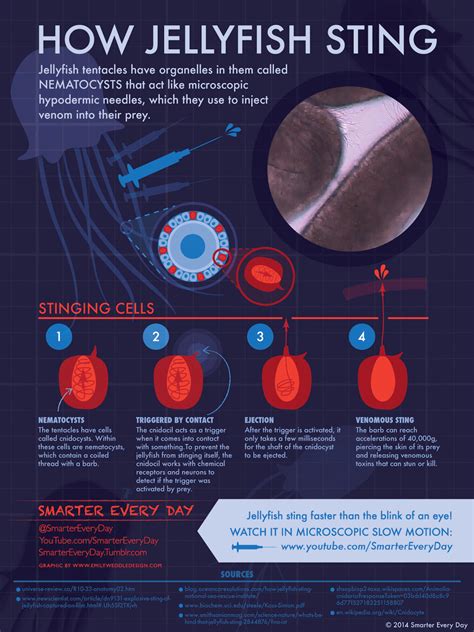 How Jellyfish Sting On Make A 