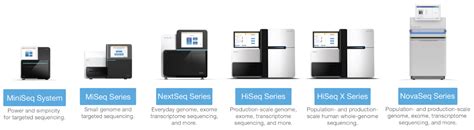 Illumina Sequencing Explained 1010genome Next Generation Sequencing
