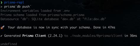 Prisma Repl Npm