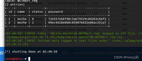 Sql手工注入漏洞测试sqlite数据库 Csdn博客