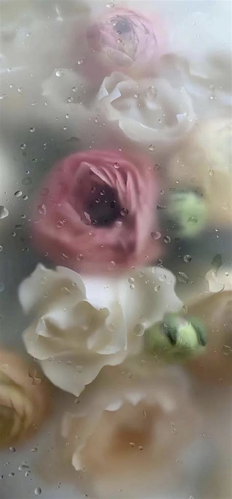 เห็นดอกไม้สวย ๆ วางอยู่ใกล้กระจก ก่อนรู้ความจริง ที่แท้