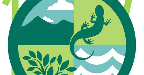 ეკოლოგიის დღე თბილისში ᐉ ღონისძიებების აფიშა Yolo