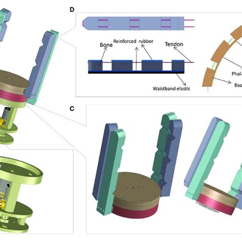 Pdf Simba Tendon Driven Modular Continuum Arm With Soft Reconfigurable Gripper