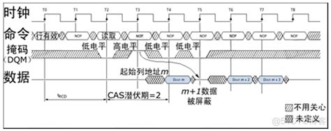 差分时钟、dqs与dqm Ddrx的关键技术介绍51cto博客ddr的dqs信号