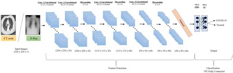 Novel Comparative Study For The Detection Of COVID Using CT Scan And Chest X Ray Images