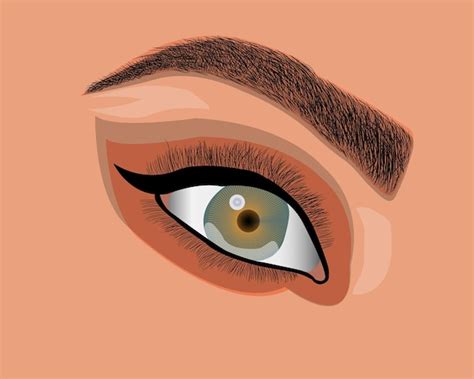 Premium Vector Eyes Vector