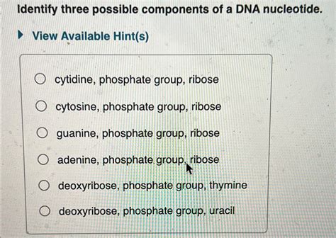 Solved Identify Three Possible Components Of A DNA Chegg Com