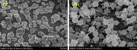 Sem Characterization Of Pp And Pvc Download Scientific Diagram