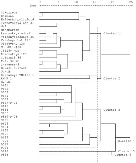 A Dendrogram Showing The Genetic Similarity Among 42 Sugar Beet Download Scientific Diagram