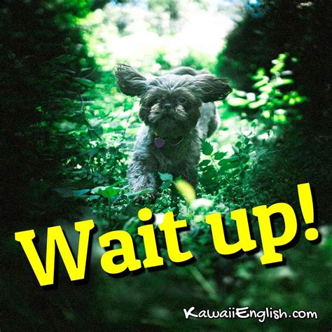 Wait up là gì và cấu trúc với cụm từ wait up trong tiếng Anh