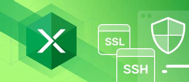 SSL And SSH Support For Direct Oracle Connections In Excel Add Ins 2 5 Devart Blog