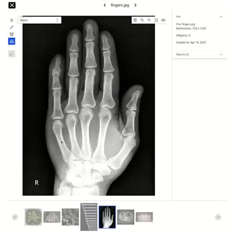 Muhammad Midhat On Linkedin Yolov8 Computervision Ai