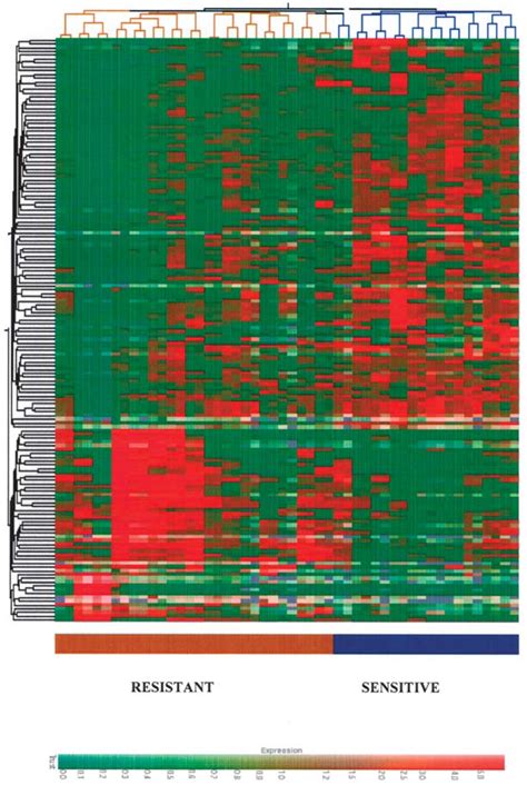 hierarchical clustering of 25 tumors in duplicate included in the