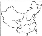 如图中①②③④所在地为我国著名商品农业基地．下列①②③④四地区及相对应的优势农产品 正确的一组是 A．① 甜菜 水稻 亚麻b．② 棉花 水稻 油菜c．③ 甘蔗 水稻 甜菜d．④