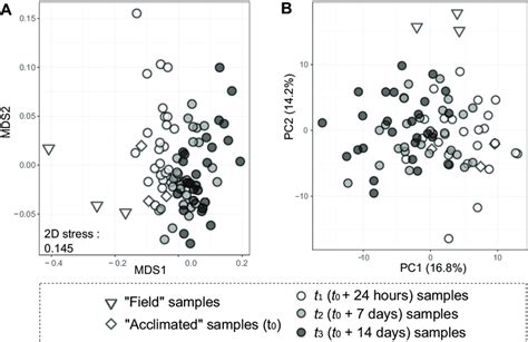Multivariate Analyses Of Surface Microbiota And Surface Metabolomes Download Scientific Diagram