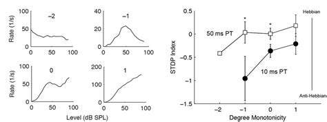 Stronger Inhibition Predicts Hebbian Anti Hebbian Timing Rule Download Scientific Diagram