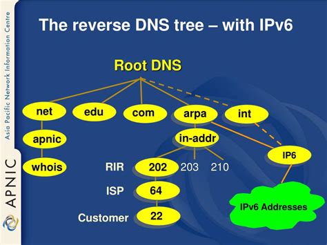PPT Reverse DNS PowerPoint Presentation Free Download ID 504564
