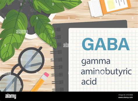 Gaba Gamma Aminobutyric Acid Concept Inhibitory Neurotransmitter In