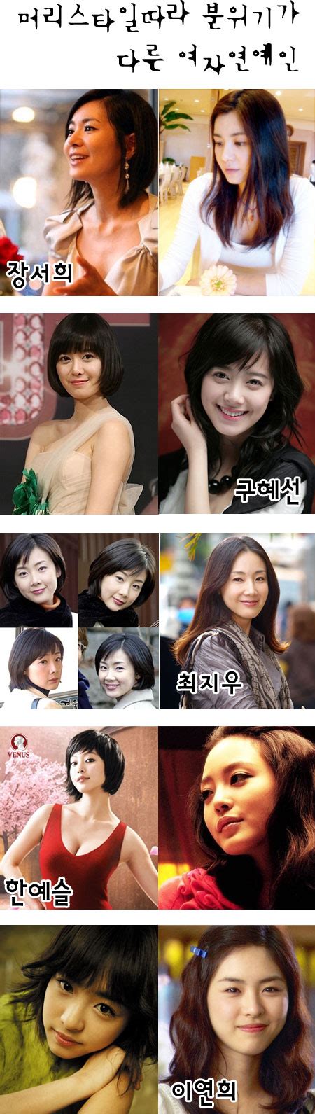 머리스타일따라 분위기가 다른 여자연예인 연예 포토 토크 네모판