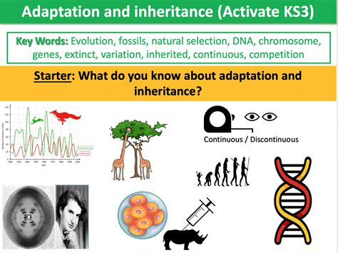 Adaptation And Inheritance Activate KS Teaching Resources