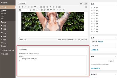 Custom Css 自行定義 Wordpress 式樣檔 麥克斯與沃普雷司