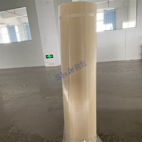Organic Inorganic Sulfonated Polyphenylene Sulfide Mesh Supported