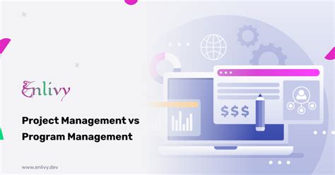 Project Management Vs Program Management Enlivy Services