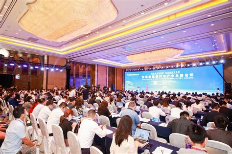 新华丝路：专家预测，中国新能源汽车产业即将步入快速发展时期 新能源车 车城网