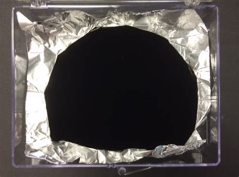 El Color Negro Más Negro Del Mundo