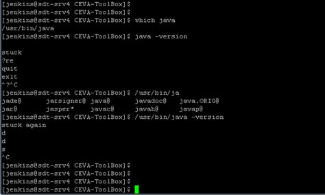 How To Check Java Runtime Version Victorycustomer