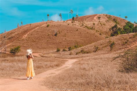 ภูเขาหญ้า ระนอง สาวๆคนไหนกำลังหารูปถ่ายวิวธรรมชาติๆสวยๆเช็คอินต้องห้ามพลาดแล้ว รีวิว