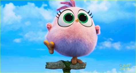Angry Birds 2 Debuts Adorable Hatchlings Clip Watch Here Photo