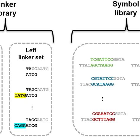 An Example Of A Linker Library And A Symbol Library The Linker Library Download Scientific