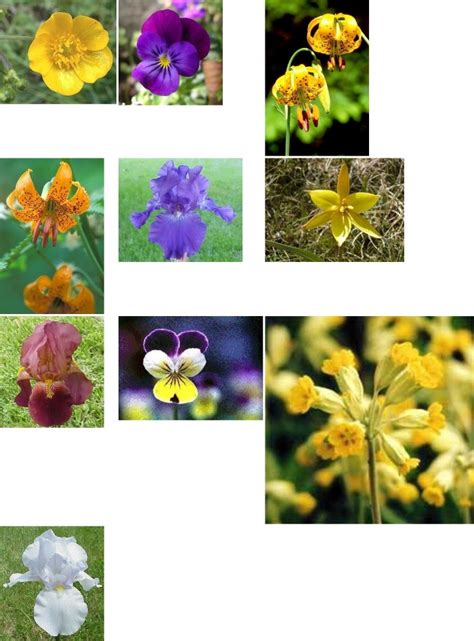 Opencv 画像を横、縦、格子状に結合する方法 Pystyle