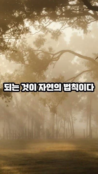 개혁이 없는 곳에는 발전도 없다 Youtube