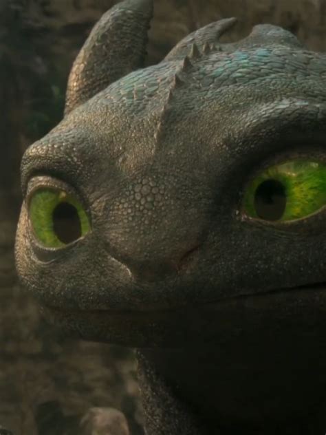 Toothless And Night Fury In How To Train Your Dragon Tiktok