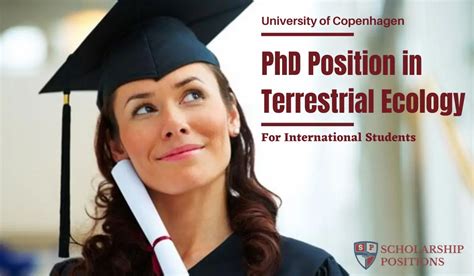 Jengno International Phd Positions In Terrestrial Ecology Denmark