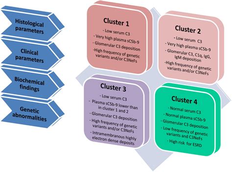 Schematic Representation Of Four Clusters Cluster Analysis Was Based Download Scientific