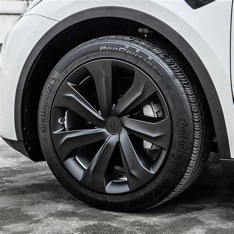 셀센코리아 셀센 코리아