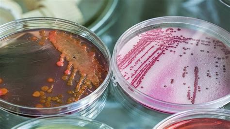 Online Course College Chemistry Tutoring Solution From Class Central