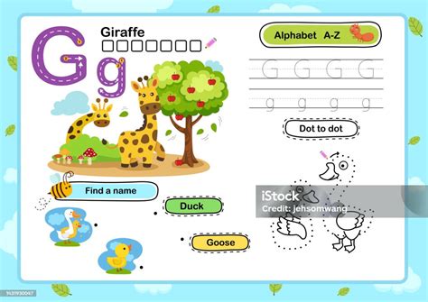 알파벳 편지 G기린 연습 만화 어휘 일러스트 레이 션 벡터 거위 새에 대한 스톡 벡터 아트 및 기타 이미지 거위 새 교육