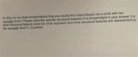 Solved 6 Why Do We Draw Phospholipids Like You Would Find A Lipid Course Hero