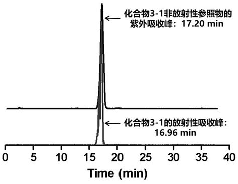 Interferon Gene Stimulating Factor Targeted Radioactive Pet Imaging