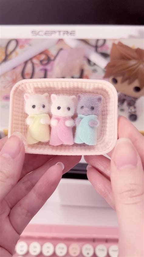 Calico Critters Unboxing Calico Coin Purse Wallet