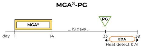 Heat Detection Protocols Beef Reproduction Task Force