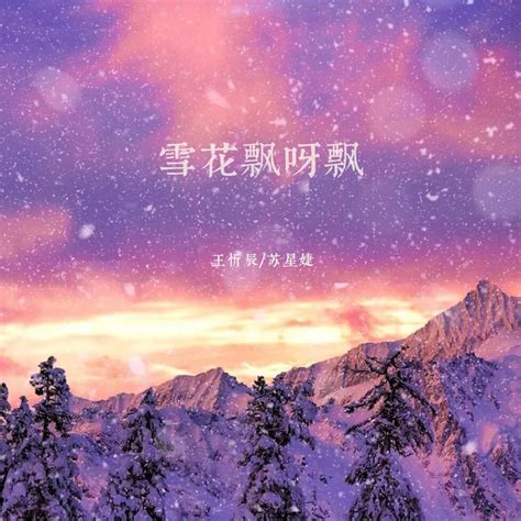 雪花飘呀飘 王忻辰 苏星婕 单曲 网易云音乐