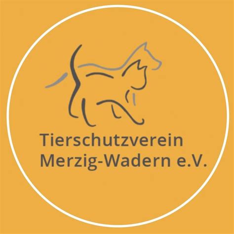 Vereinsplatz Merzig Wadern Tierschutzverein Merzig Wadern Ev