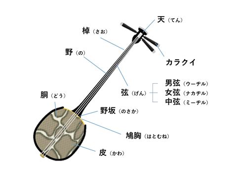 三線の基礎知識（初心者向け）｜絵美こさめ 唄三線・三味線教室